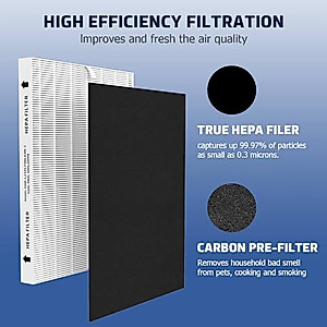 SAKEGDY 115115 HEPA Replacement Filter A Compatible with Winix PlasmaWave C535 5300 5300-2 6300 6300-2 P300 AM90 9000 5000 5000B C909 9800 A-Purifier, 2 Washable PreFilter+4 HEPA+8 Carbon Filter