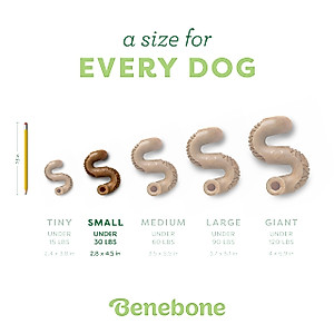 Benebone Tripe Bone Durable Dog Chew Toy for Aggressive Chewers, Real Tripe, Made in USA, Small