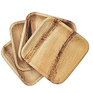 Dtocs Palm Leaf Plates Pack 50, 7 Inch Square | Eco-friendly, Compostable, Natural, Biobased, Organic Disposable Party Plates For Wedding, Camping, Birthday Dinner | Better Than Bamboo, Paper Plates.