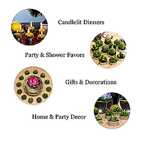 Phyther Cactus Tealight Candles, Unscented Decoration Tea Lights Candle, for Decor, Party Favors, Wedding, Baby, and Bridal Shower (12 Pieces)