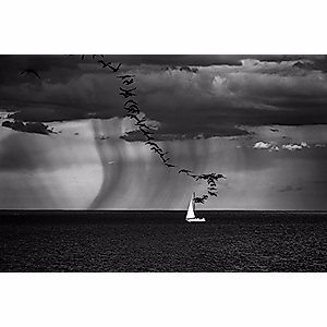 Sigma 150-600mm F5-6.3 DG OS HSM Zoom Lens (Contemporary) for Canon DSLR Cameras - (Certified Refurbished)