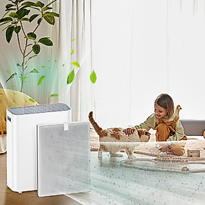 2-pack H7123101/H211/H211S Replacement Filter, Compatible with Govee life H712301 and Homvana H211/H211S Air Purifiers, 4-Stage Filtration, True HEPA H13 Filter+Actitvated Carbon Filter