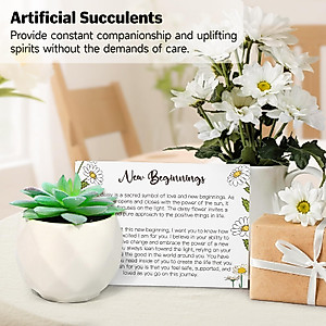 New Beginnings Box Gifts for Women, Farewell Gifts For Coworkers, Self, New Job Going Away Break Up Divorce Goodbye Good Luck Gift Basket, Self Care Gifts for Women Her Best Friends Sister Mom