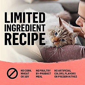 Purina Beyond Natural Limited Ingredient Dry Cat Food, Simply Salmon & Whole Brown Rice Recipe - 3 lb. Bag