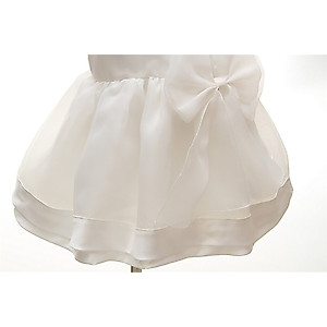Coozy Baby Girl Dress Christening Baptism Gowns Flower, Ivory, Size 6-12 Months