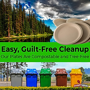 Avant Grub Pro-Grade, Biodegradable 10 Inch Plates. Bulk 100 Pk Great for Lunch, Dinner Parties, Potlucks. Disposable, Compostable Wheatstraw Paper Alternative. Sturdy, Soakproof, Microwave Safe