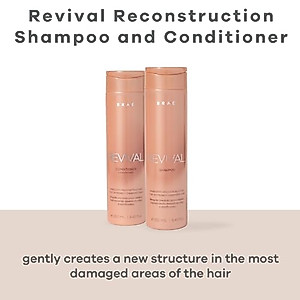 Hair Repair Shampoo and Conditioner - Revival Set 8.45 fl. oz - Best for Extremely Damaged, Dry, Curly or Frizzy Hair - Deep Nourishing - Increase Shine and Hydration - Wheat Germ and Silk Proteins