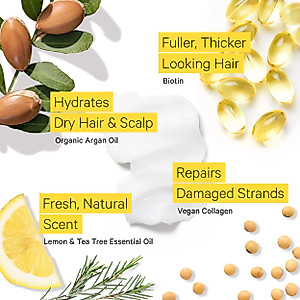 Tree To Tub Volumizing Biotin Shampoo & Conditioner Bundle - For Thicker, Stronger, Shinier Hair - Formulated with Collagen, Caffeine, Argan Oil & Pure Essential Oils - 2 x 8.5 oz. Bottles