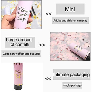 Pink Confetti Party Confetti Cannon, 6 Pack Mini Party Poppers Pink Confetti Cannon Shooters Biodegradable Confetti for Wedding Kids Birthday Party Supplies