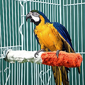 POPETPOP Bird Perches for Parrots-Cuttlebone Calcium Perch Standing Cuttlebone Holder for Birds Cage Accessories