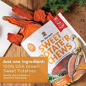 Dr. Harvey's Sweet Potate'r Chews - Natural Sweet Potato Treat for Dogs (16 ounces)