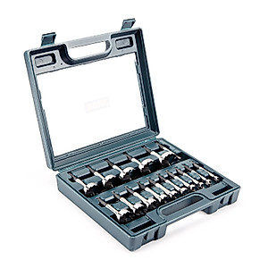 INTOO Hex Shank Forstner Bit Set 16 pcs Multi Sided Shank Wood Drill bit Set