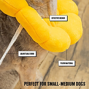 Dog Cones - Adjustable Dog Recovery Cone for Small Dogs - Dog-Friendly Design Dog Cone Collar - Reliable Head and Neck Cone for Dogs - Pet Cone - Dog Cone by Placely