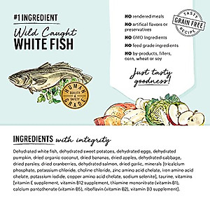 The Honest Kitchen Dehydrated Grain Free Fish Dog Food, 4 lb Box