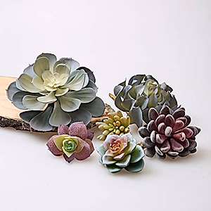caqpo Artificial Succulents - 15 Pack - Premium Unpotted Artificial and Realistic Textured Fake Succulent Plants for DIY - Faux Cactus Plant Bulk - Feaux Succulent Plants