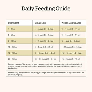 Now Fresh Grain-Free, Dry Dog Food, Small Breed Kibble, Real Meat and Fish, Turkey, Salmon and Duck Senior Recipe, 6 lb Bag