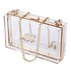 WEDDINGHELPER Transparent Clear Acrylic Square jelly Evening Bag for Women,Fashion Lovely Shoulder Bag for Dinner Party Travel (CLEAR1)