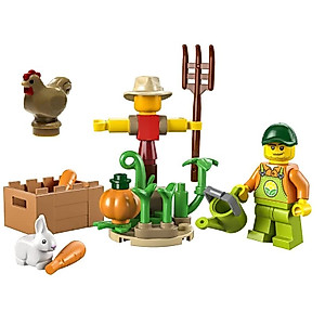 LEGO City Farm Combo Pack: Farm Garden and Scarecrow Polybag (30590) and Brown Chicken