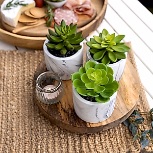 Kurrajong Farmhouse Artificial Succulent Plants in pots | Mini Fake Plant for Shelves | Artificial Plants for Home Decor Indoor | Succulent Plants Artificial | Mini Plant Decor | Small Faux Plants