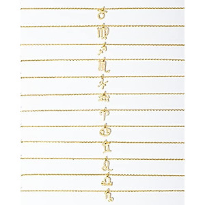 PAVOI 14K Yellow Gold Plated CZ Astrology Necklace Astrology Necklace | Astrology Gifts For Women | Zodiac Necklaces | Cancer Necklace