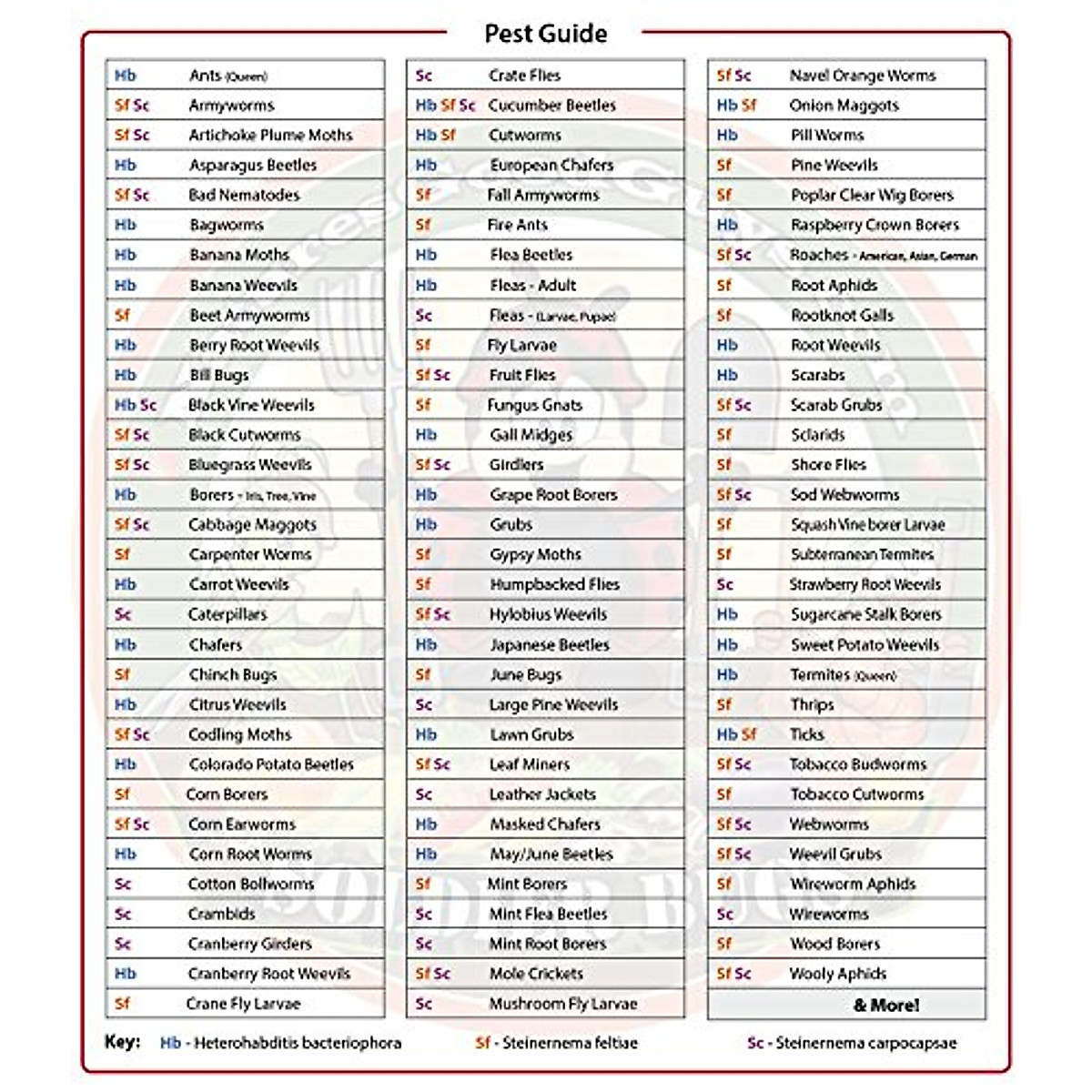 Bug Sales 10 Million Live Beneficial Nematodes Hb & Sf - Kills Over 200 Different Species of Soil Dwelling and Wood Boring Insects.