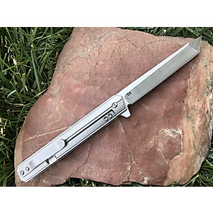 TACTICAL GEARZ Premium Titanium EDC Pocket Knife! Solid Tc4 Titanium Handle! D2 Steel Tanto Blade! Includes Sheath! Seren (Platinum)
