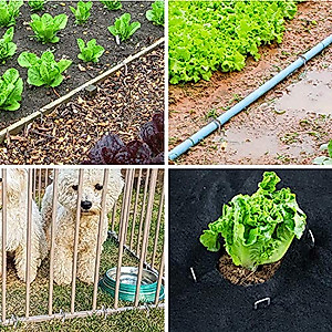 Amagabeli 6 Inch Galvanized Landscape Staples 200 Pack 11 Gauge Garden Stakes Sod Pins Anti-Rust Fence Stakes for Weed Barrier Fabric Ground Cover Dripper Irrigation Tubing Soaker Hose STAPLE001