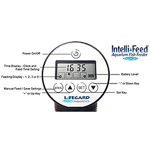 IntelliFeed Fish Feeder