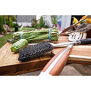 BBQ Dragon Chainmail Grill Brush and Scraper - Stainless Steel Grill Cleaning Brush - Heavy Duty and Bristle Free Grill Cleaner, Grill Scraper - Safe for Porcelain - Perfect Grill Accessories Gift