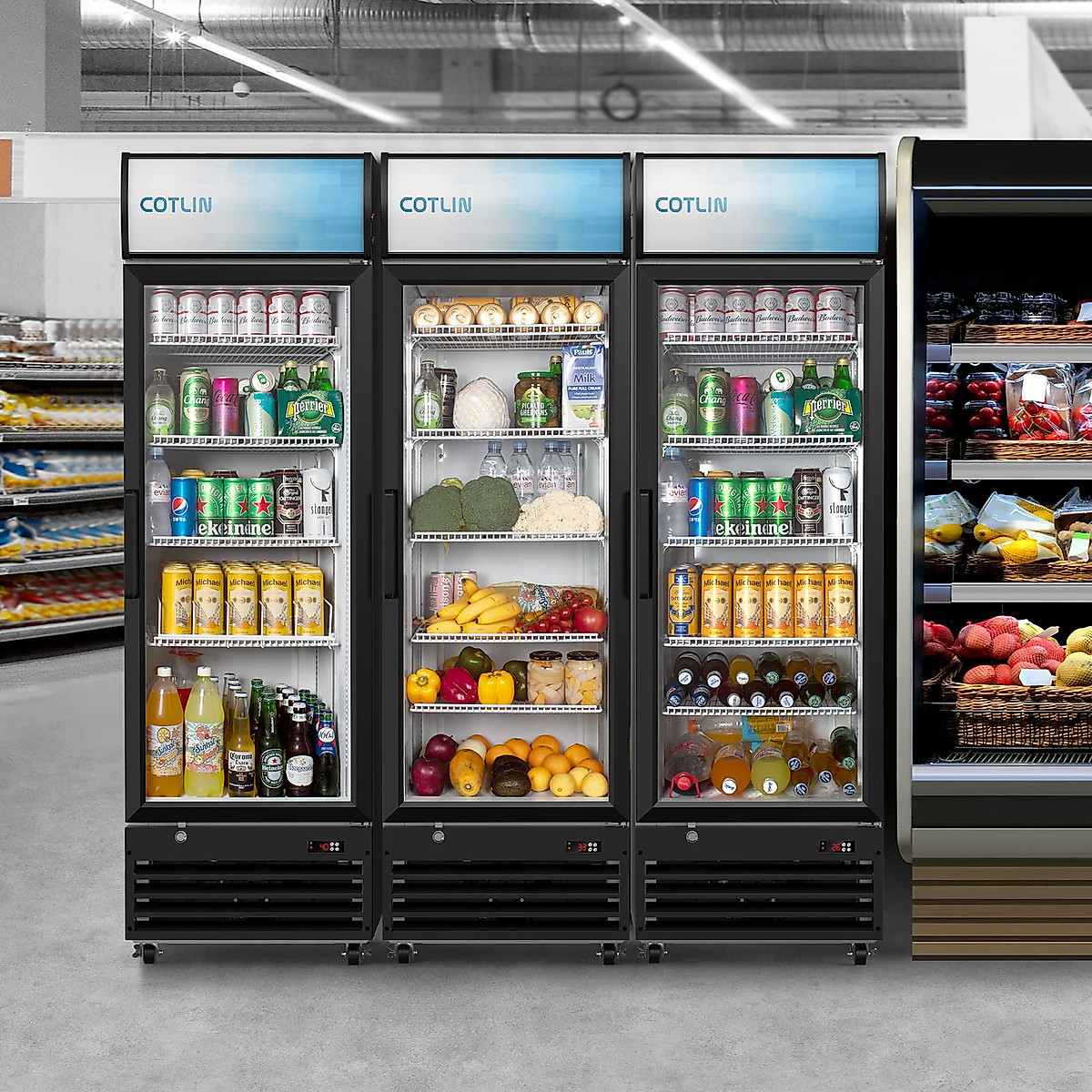 COTLIN Glass Door Merchandiser Refrigerator with LED Lighting, 12.5 cu.ft Commercial Beverage Cooler, Dual-Layer Glass Extra Adjustable Shelves and Drink Organizers, ETL NSF Approved