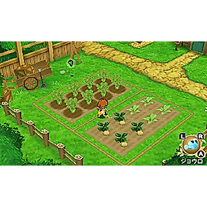 Popolocrois　farm