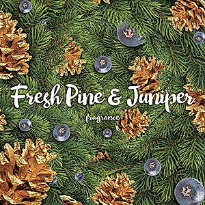 Air Wick Plug in Scented Oil Starter Kit with Tree and Reindeer Free Decorative Warmer + 2 Refills, Woodland Pine, Fall Scent, Fall Spray, (2x0.67oz), Essential Oils, Air Freshener