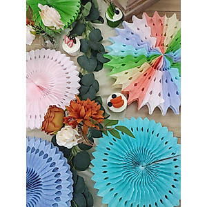 20Pcs Multi-Color Pastel Rainbow Paper Honeycomb Balls Fans Decoration Kit for Colorful Ceiling Decor Candy Birthday Party Baby Bridal Shower Wall Room Backdrop Decor Wedding Party Supplies