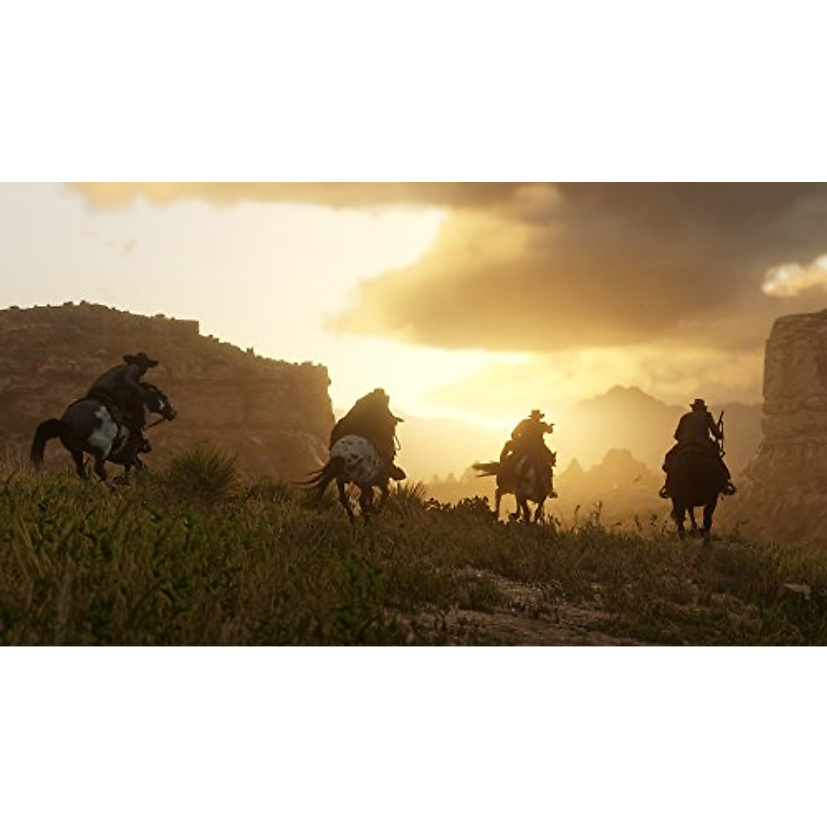PS4 - Red Dead Redemption 2 - [PAL DE]