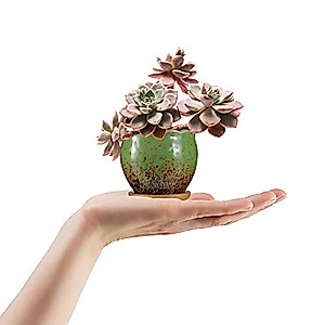 ZOUTOG Succulent Pots, 4 inch Colorful Ceramic Flower Pots, Succulent Planter with Drainage Hole and Bamboo Plant Saucers