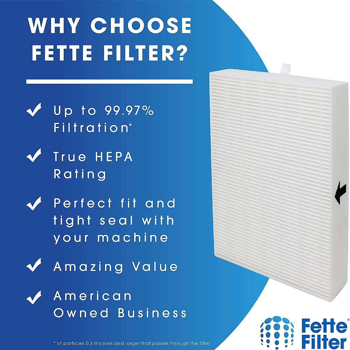 Fette Filter - 6 Pack of Premium True HEPA H13 Filter R Compatible with Honeywell Filter R for All HPA Series Air Purifier Part Number Filter R HRF-R3 HRF-R2 HRF-R1 HRF-ARVP300 HPA300