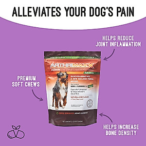 ArthriMAXX Dog Supplements for Joint Inflammation & Arthritis, Naturally Potent Dog Joint Care, Delicious Soft Chews with Turmeric, Omega 3, & Glucosamine for Dogs, Natural Liver Flavor, 120 Pc
