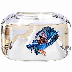 Glass Fishbowl Small Snow Mountain Goldfish Aquarium 5.9" Mini Fish Tank,Cool Design