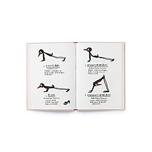 Yoga for Stiff Birds: An Illustrated Approach to Positions, Poses, and Meditations