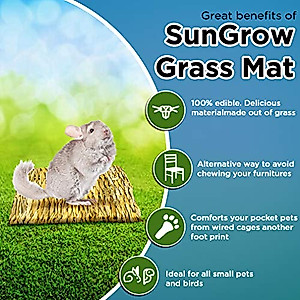SunGrow Chinchilla Grass Mat, 8” x 11”, Bunny Foraging Straw Bedding Floor Mat for Rabbit Cages and Nesting Box Sleeping, Chew Toy Bed for Guinea Pig, Squirrel, Hamster, Cat and Small Animal