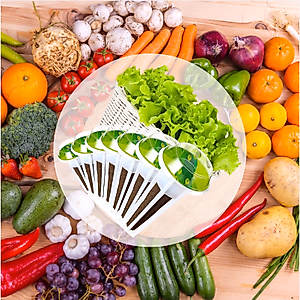 Luxmool 131 Pcs Seed Pods Kit Compatible with Aerogarden, Suitable for Hydroponics Growing System for a Variety of Plants, Outdoor and Indoor Hydroponics Supplies