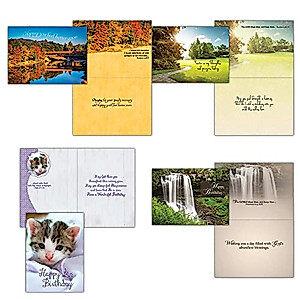 Shared Blessings 48 All Occasion Religious Greeting Cards Value Pack 2 - King James Version Scriptures - Faith Based Greeting Cards - Inspirational Thinking of You Cards with Envelopes - Assorted Designs including Religious Birthday, Thinking of You Cards