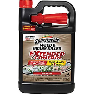 Spectracide Weed Killer, 1 gal