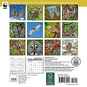 WWF Owls Mini Wall Calendar 2021, 7" x 7"