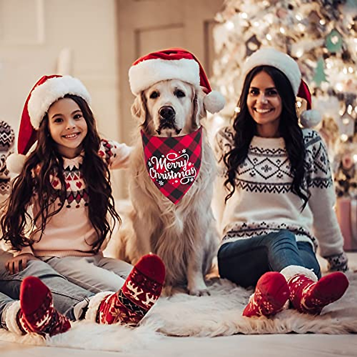 PTDECOR 2 Pack Dog Bandana Christmas Classic Plaid Pet Dog Scarf Triangle Bibs Kerchief Dog Christmas Accessories Merry Christmas Bandanas for Small Medium Large Dogs Pets (Merry Christmas-2)