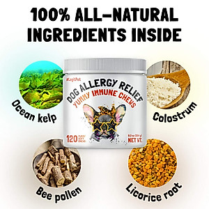 Wild Alaskan Salmon Oil for Dogs & Cats 32 oz and Allergy Relief Chews for Dogs & Immune & Digestive Supplement 120 Chews