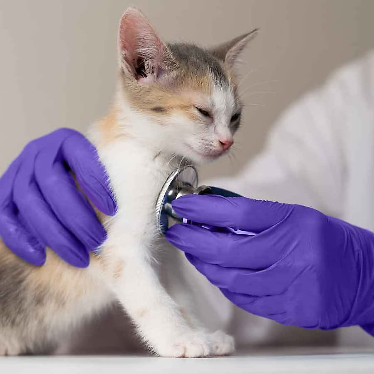 SafeWay Disposable Nitrile Gloves, 200 Pack, Powder-Free, Latex-Free & Non-Sterile Gloves, Ambidextrous Gloves with Textured Fingertips, Food & Medical-Grade for Cooking, Cleaning, Pet Care, Small