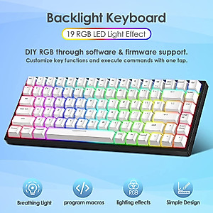 Vissles Wireless Bluetooth/USB Wired Mechanical Gaming Keyboard with Wrist, Hot Swappable Compact 84 Keys, Tenkeyless DIY RGB Dynamic Backlit for Mac Windows, PBT Keycaps & Linear Switch V2