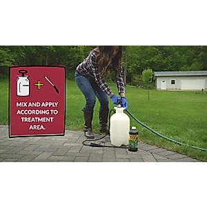 Compare-N-Save 2-4-D Amine Broadleaf Weed Killer, 32-Ounce