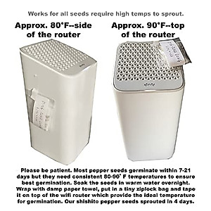 40 Sweet Pepper Seeds for Planting, Green and Red Bell Pepper Seeds, Non-GMO Heirloom Seeds Vegetable Seeds for Home Vegetable Garden & Hydronic Pods. (40ct Veggie Seeds: Pepper-California Wonder)